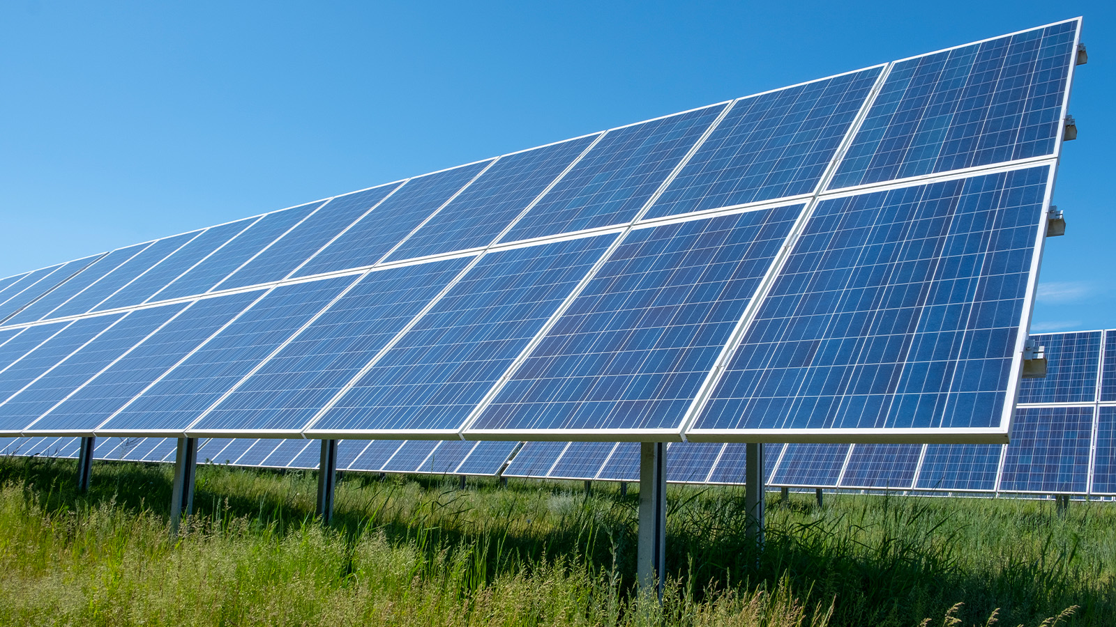 Home - Senator Culver